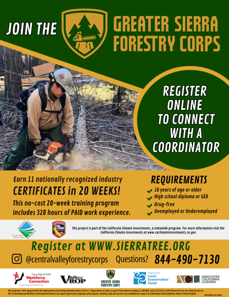 Training Flyers - Workforce ConnectionWorkforce Connection